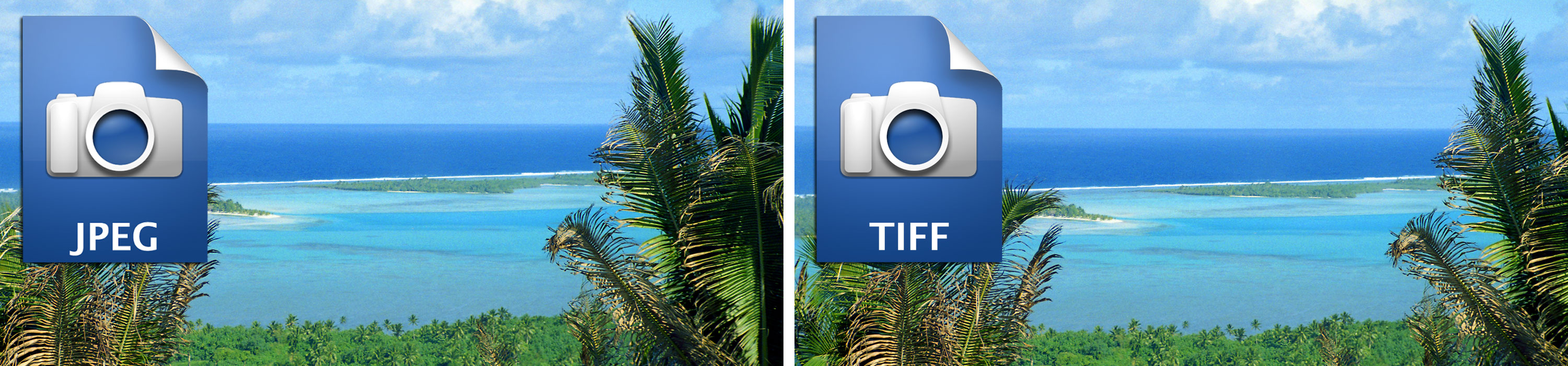 When Scanning Slides Negatives Photos What s Better JPEG Or TIFF 